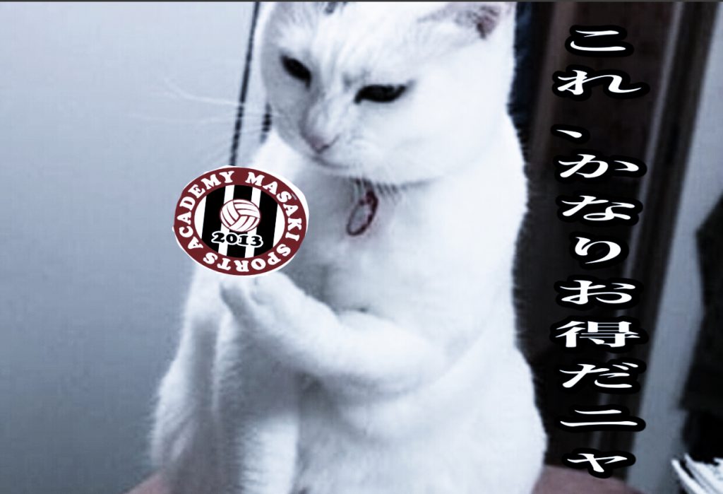 YouTube番組「ヒラカワクエスト」チャンネル登録者数“200”名突破記念キャンペーン｜MASAKI SPORTS ACADEMY 公式ウェブサイト